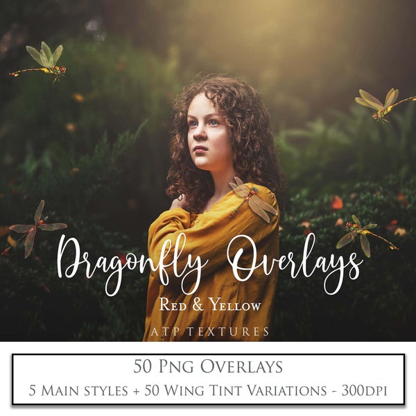 Photoshop Overlays - Etsy