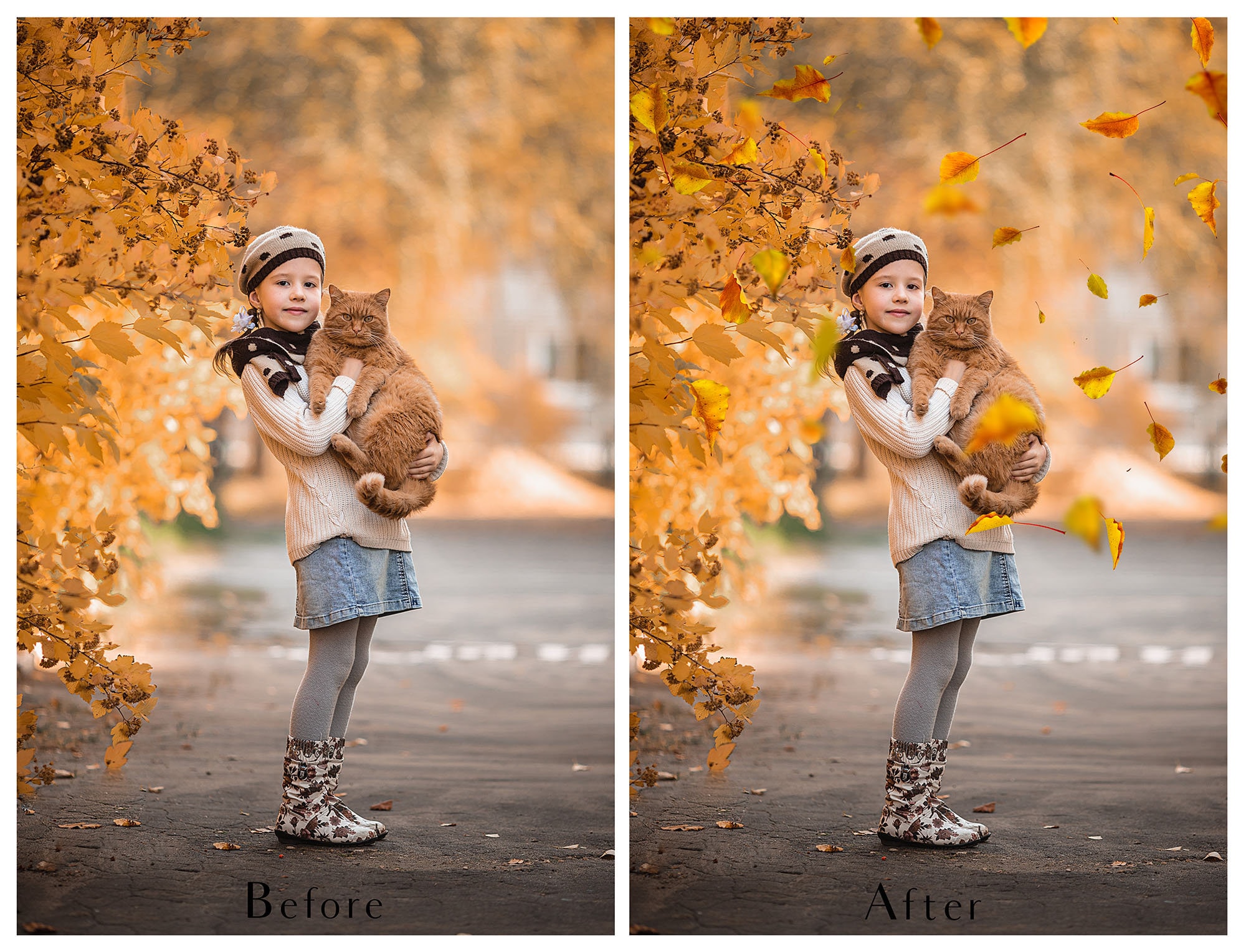 85 Leaf OVERLAYS PNG Fall Overlay Leaves Digital | Etsy