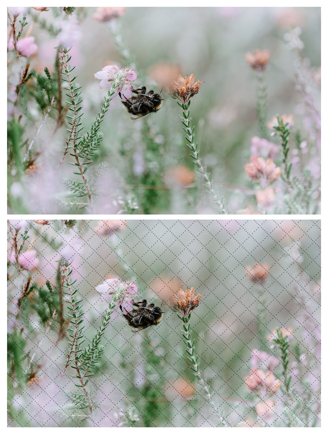 WATERMARK OVERLAYS With Seamless Photoshop PATTERN Digital - Etsy