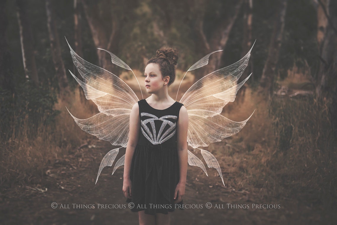 9 Png WHITE FAIRY WING Overlays Set 9 / Wings Fairy Overlay | Etsy