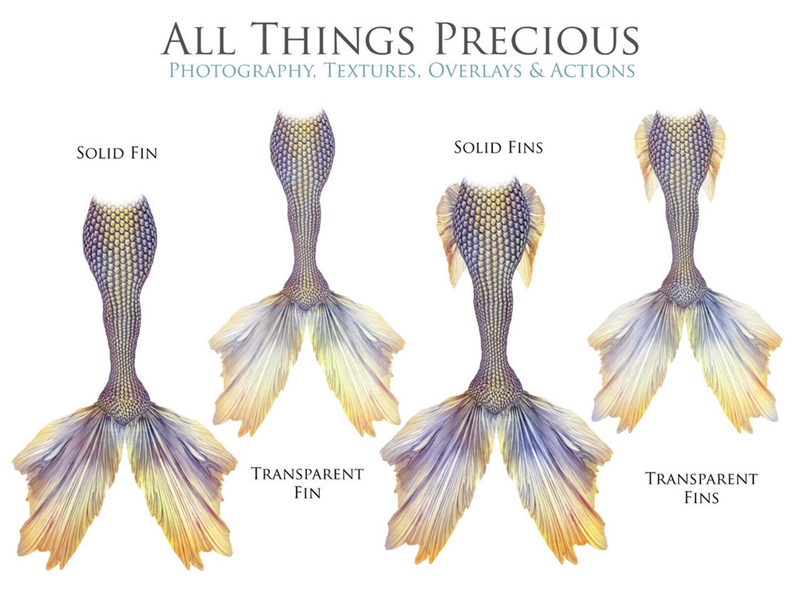 OVERLAYS PNG Digital MERMAID Tail Png Clipart Set 8 / Photo - Etsy Canada