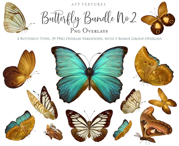 BUTTERFLY OVERLAYS Set 2 Digital Overlay Fine Art | Etsy