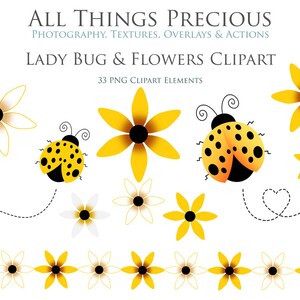 33 High Res Clipart LADY BUG and FLOWERS / Png / Elements ...