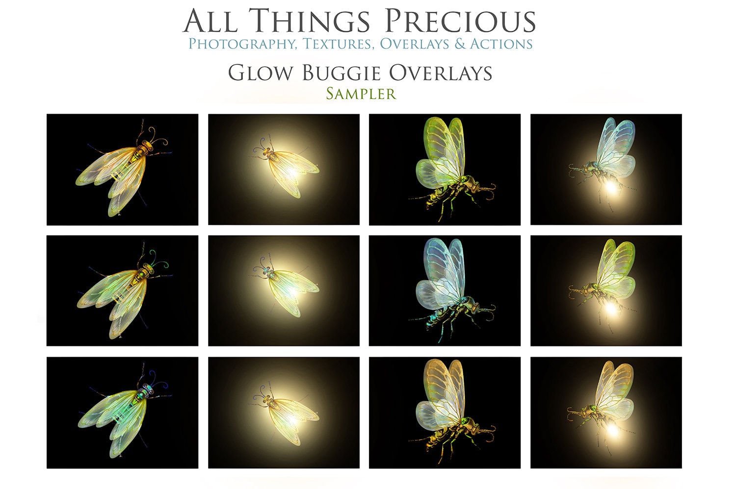 30 Fireflies Glow Bug PHOTO OVERLAY Png Clipart Photoshop - Etsy Australia