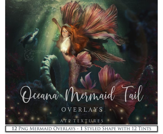 12 PNG DIGITAL OVERLAYS - Mermaid Tails - Oceana / Fantasy Magic, Fish ...