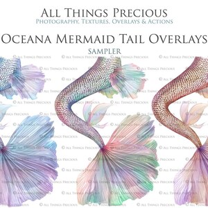 PNG Mermaid Tail Overlays, Oceana, Fantasy Magic, Fish Tails, Photo ...