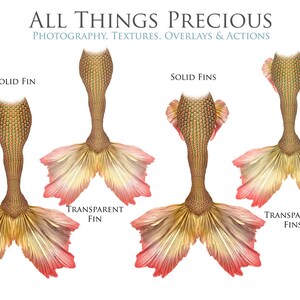 48 OVERLAYS - MERMAID TAIL - Png Bundle No.2 / Photo Overlay,digital ...