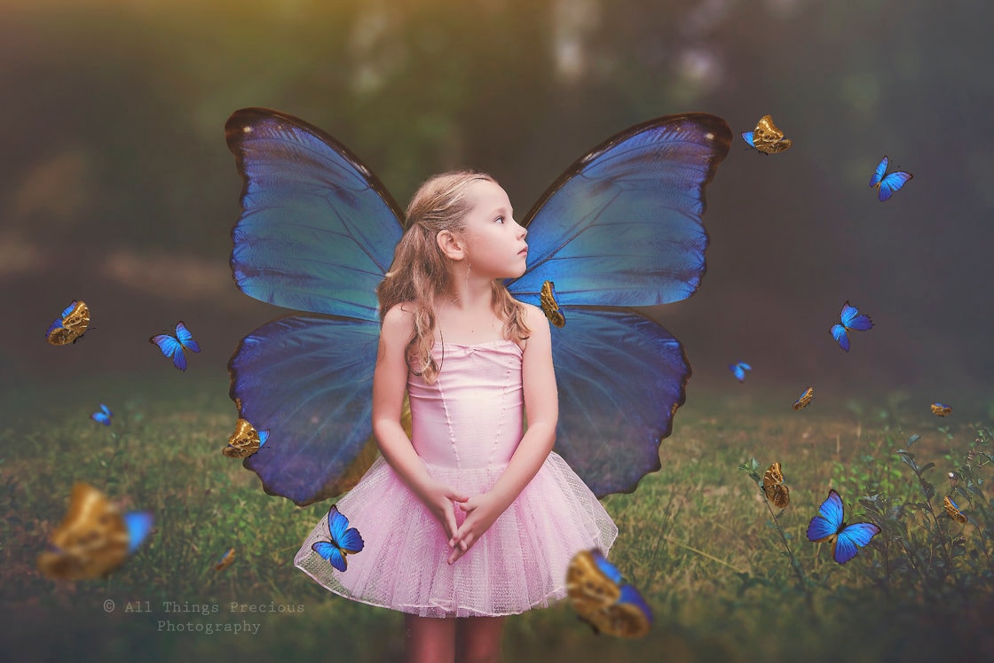 27 Butterfly Overlays Set 1 / Digital Overlay Fine Art - Etsy