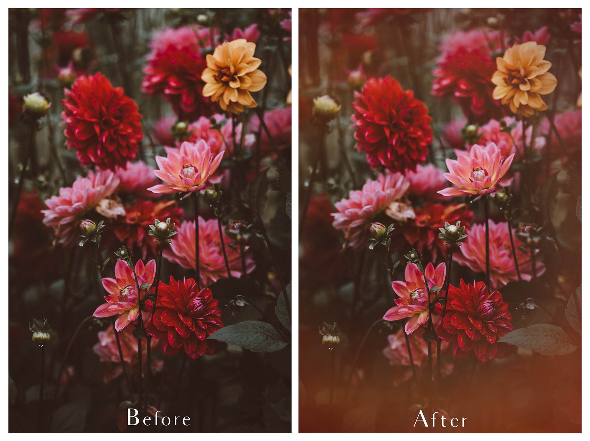 Png OVERLAYS Tint Vignette No. 2 / Photo Overlay Texture - Etsy
