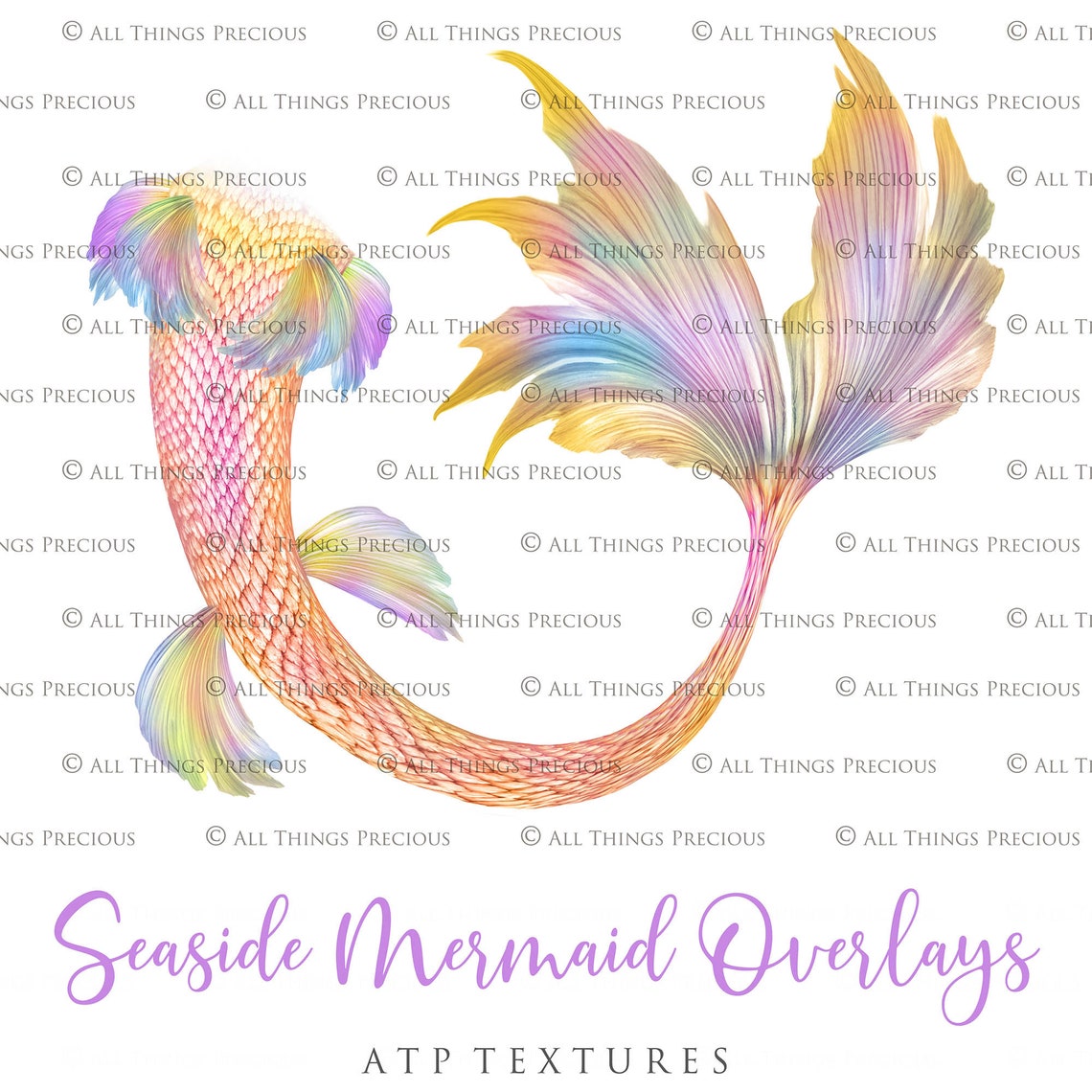 MERMAID TAIL Png Overlays SEASIDE Photo Overlay Fantasy - Etsy