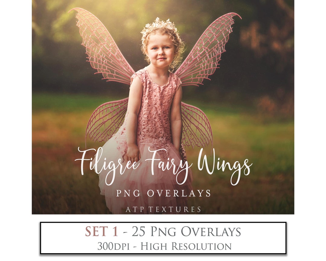 25 Png Overlays, FILIGREE FAERY WINGS, Set 1 / Photo Overlay, Digital ...