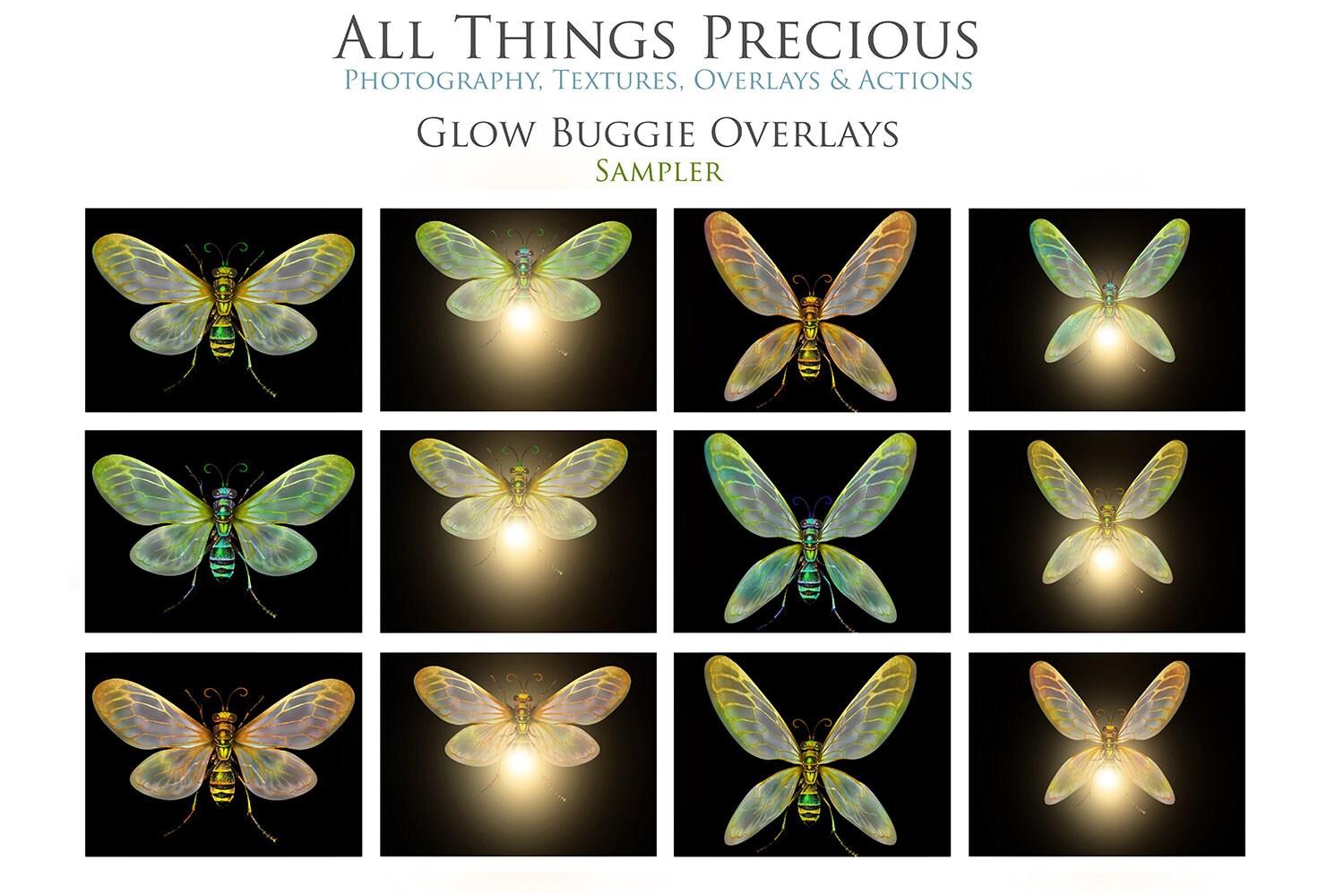 30 Fireflies Glow Bug PHOTO OVERLAY Png Clipart Photoshop - Etsy Australia