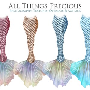 42 Digital Overlays, MERMAID TAIL Overlay, Png Bundle No.1, High ...