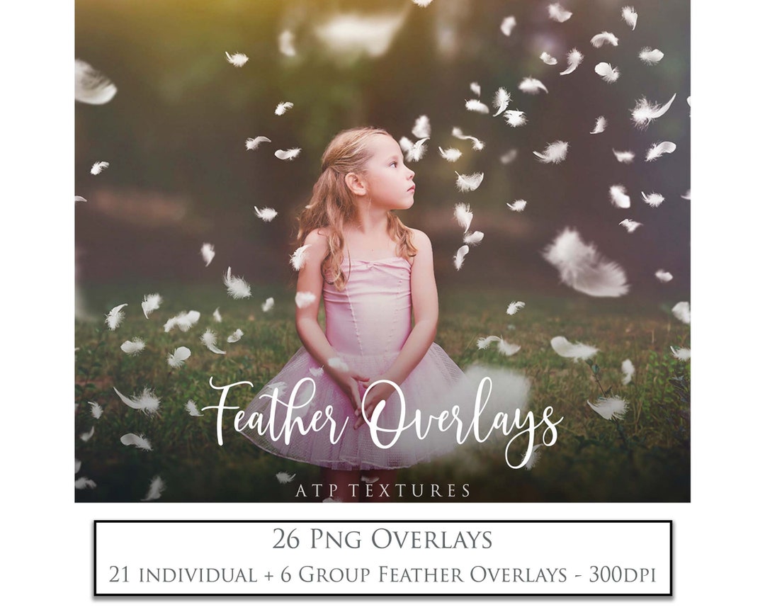 30 PNG OVERLAYS, Feather Overlay, Photography, Photoshop, Fine Art ...