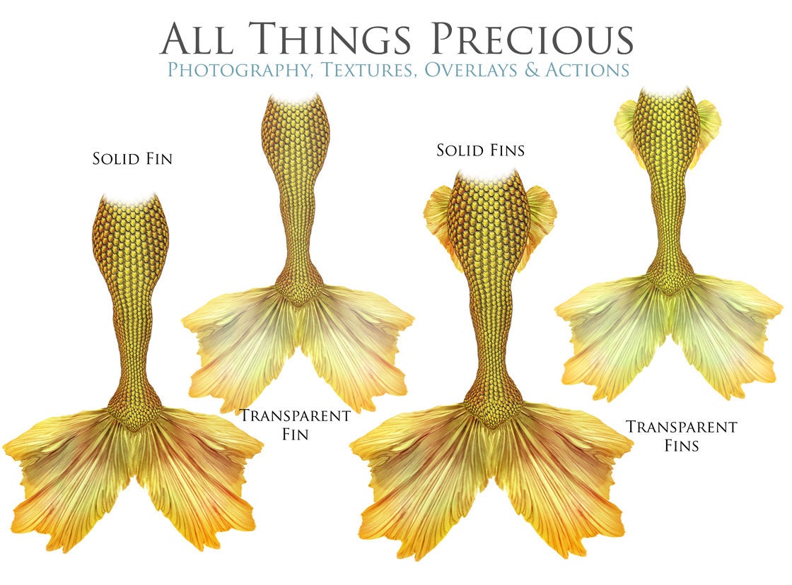 12 MERMAID Overlays PNG Clipart Set 10 Photo Overlay - Etsy