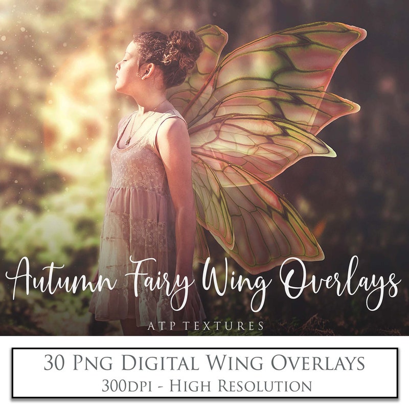 Autumn Fairy Wings - Etsy