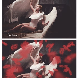 PHOTO OVERLAYS PNG Red Feathers Digital Overlay, Feather Clipart for ...