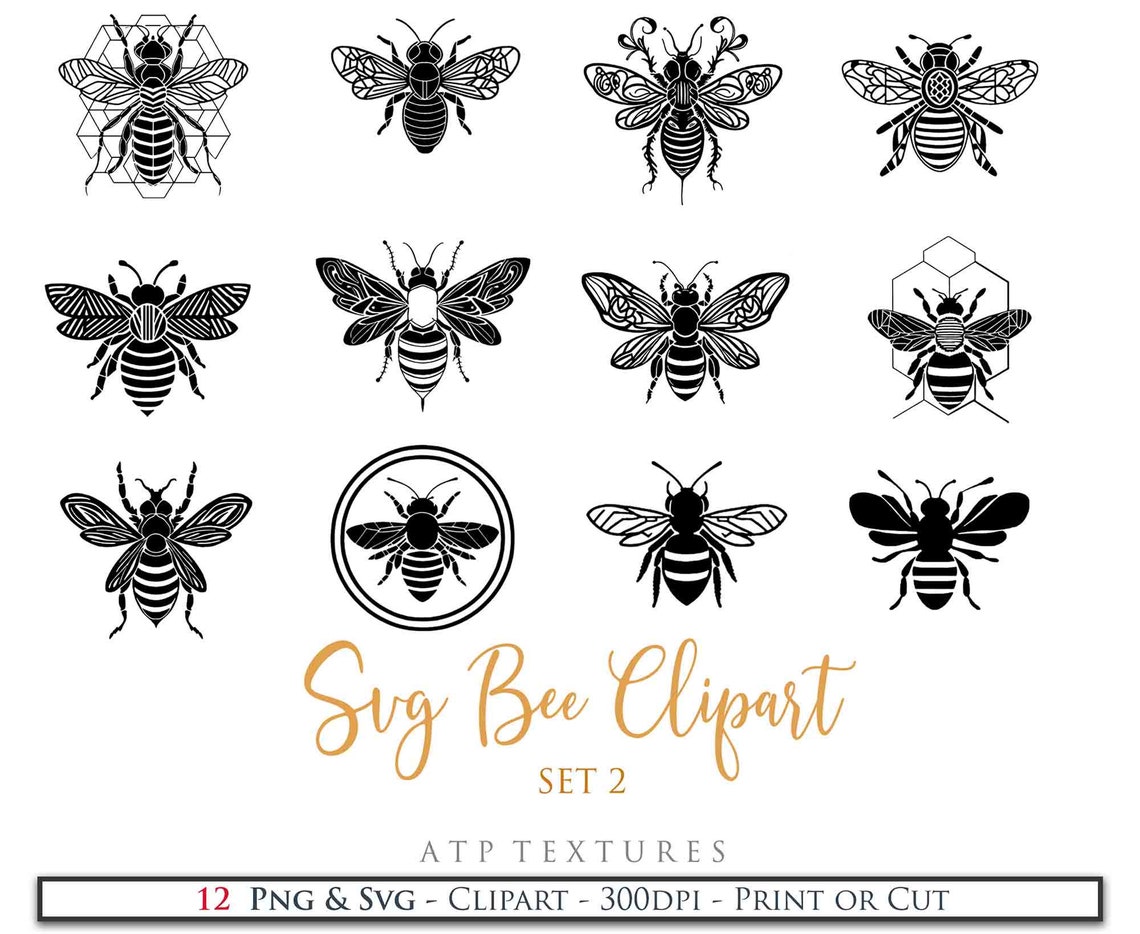 12 SVG BEE CLIPART Set 2 Silhouette Png Clipart Print - Etsy Australia