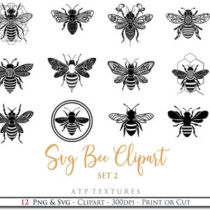 12 SVG BEE CLIPART Set 2 Silueta, Png Clipart, Impresión, Cricut ...