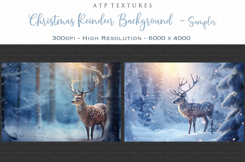 24 Digital Backgrounds REINDEER Christmas, Photography Backdrop, Snow ...