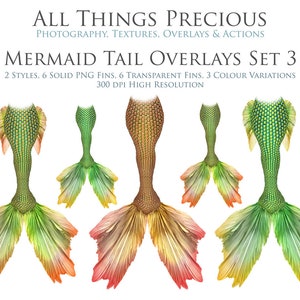 48 OVERLAYS - MERMAID TAIL - Png Bundle No.2 / Photo Overlay,digital ...
