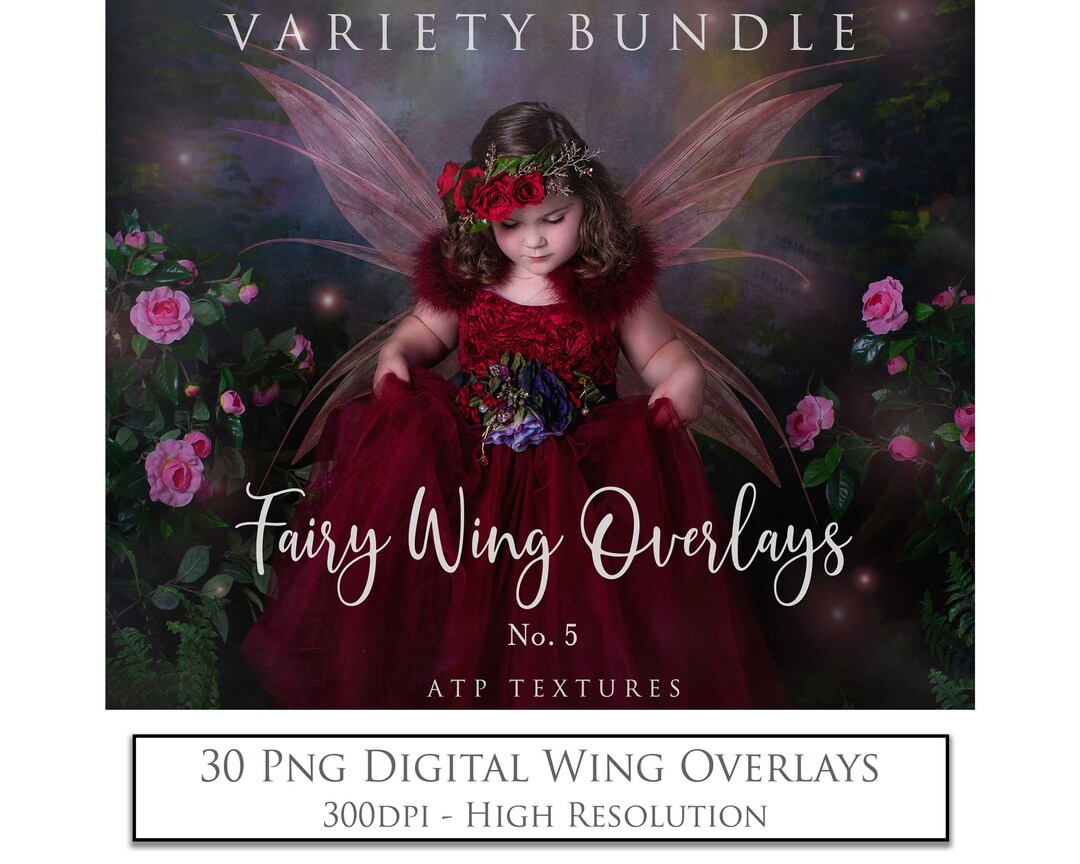 30 Png OVERLAYS BUNDLE Fairy WINGS No. 5, Clipart Transparent Wing ...
