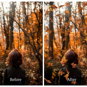 60 FALL LEAVES OVERLAYS Autumn Png Leaf Overlay / - Etsy Australia