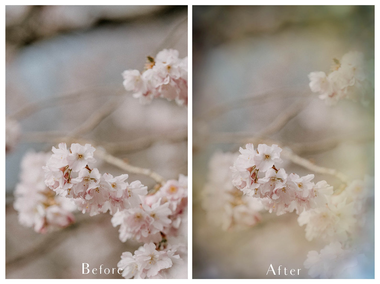 Png OVERLAYS Tint Vignette No. 4 / Photo Overlay Texture | Etsy