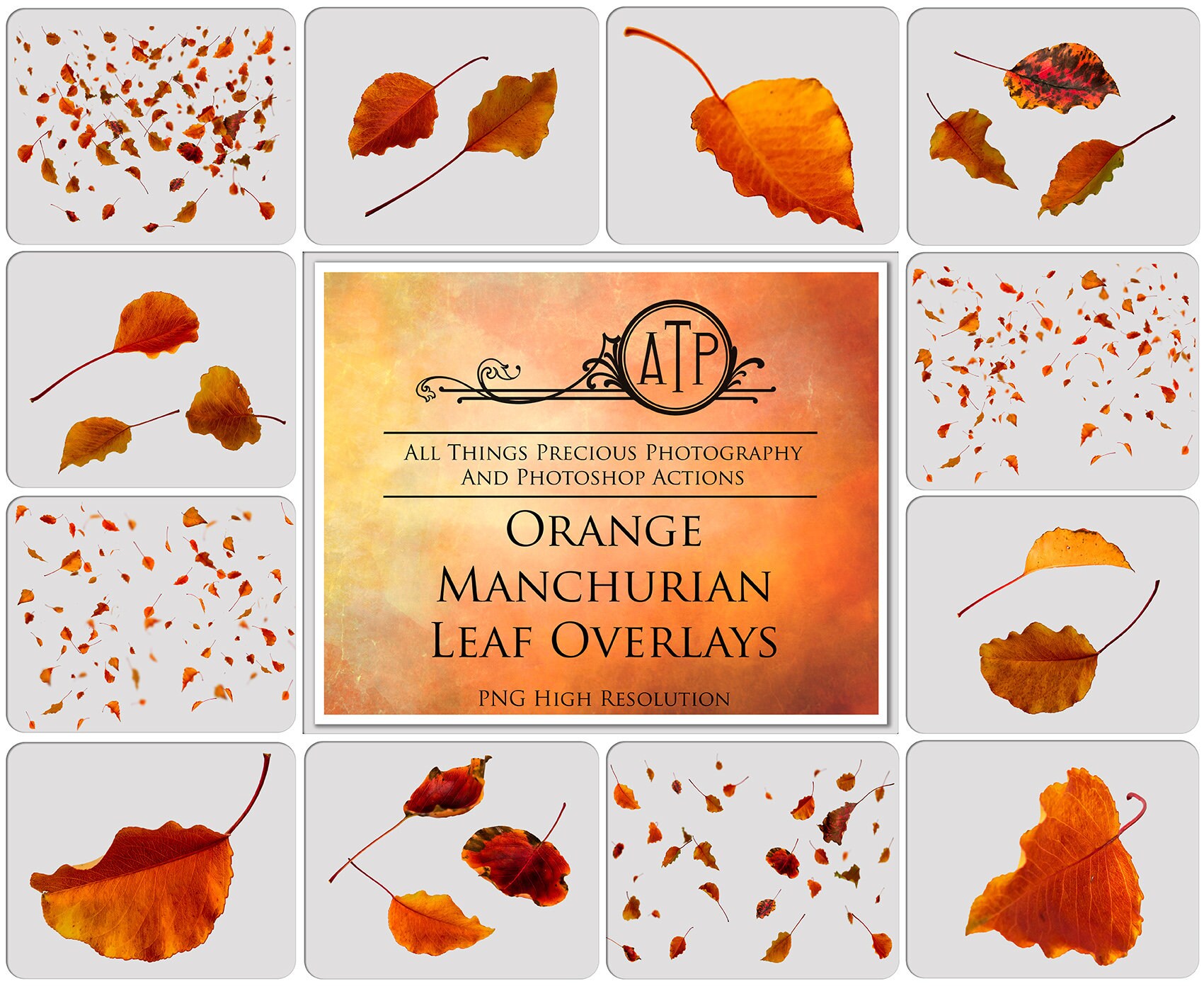 85 Leaf OVERLAYS PNG Fall Overlay Leaves Digital | Etsy