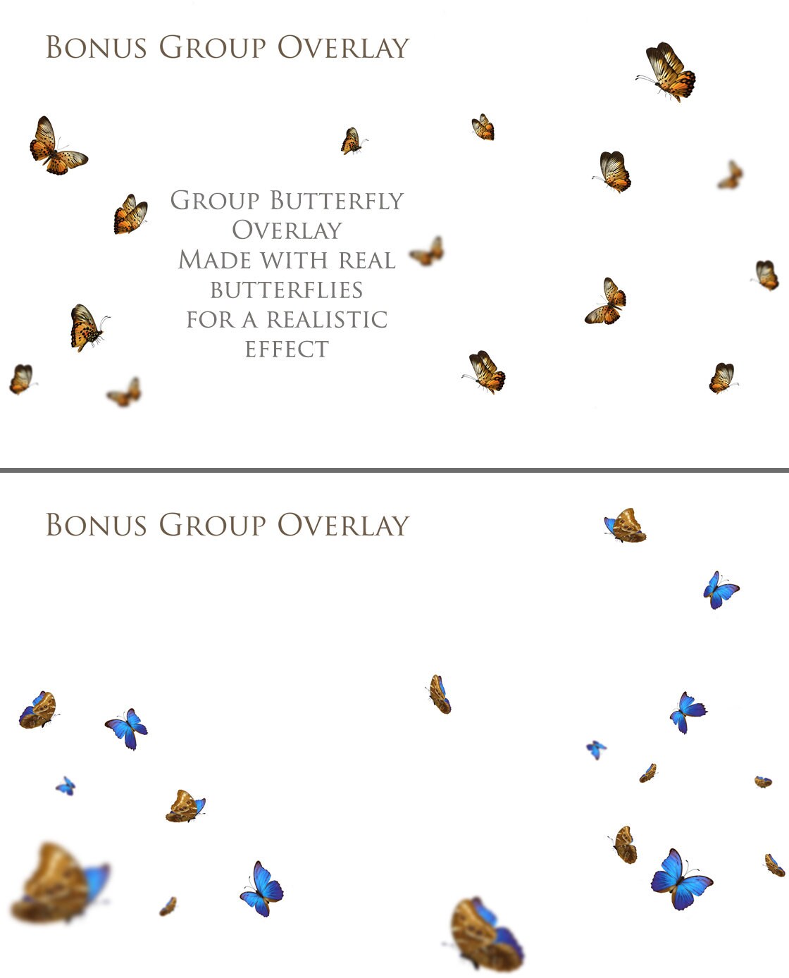 27 Butterfly Overlays Set 1 / Digital Overlay Fine Art - Etsy