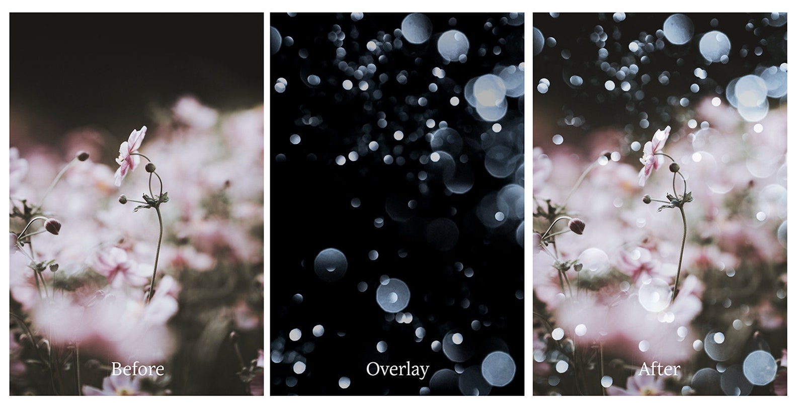 Digital OVERLAYS 40 Winter BOKEH Overlay Bokeh Background | Etsy