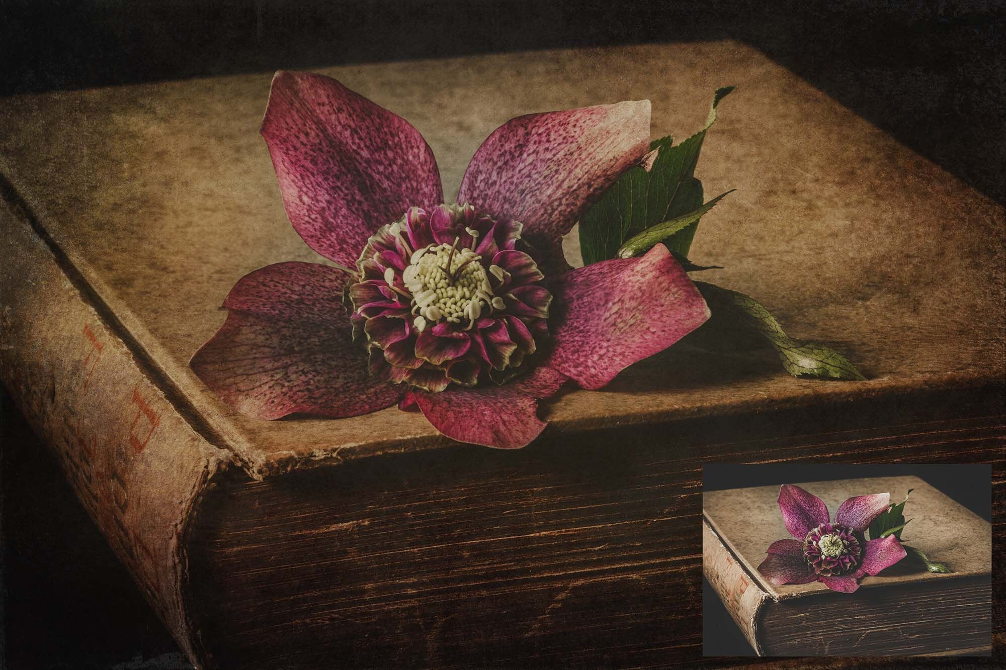 10 FINE ART TEXTURES Earthy Set 15 / Photography Overlays | Etsy