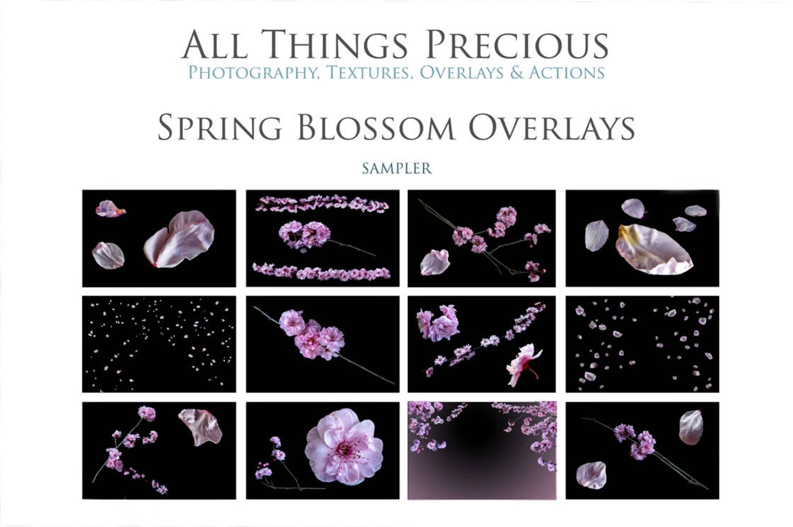 40 Photo Overlays Png Spring Blossom Overlay / Photo Edit, Falling ...