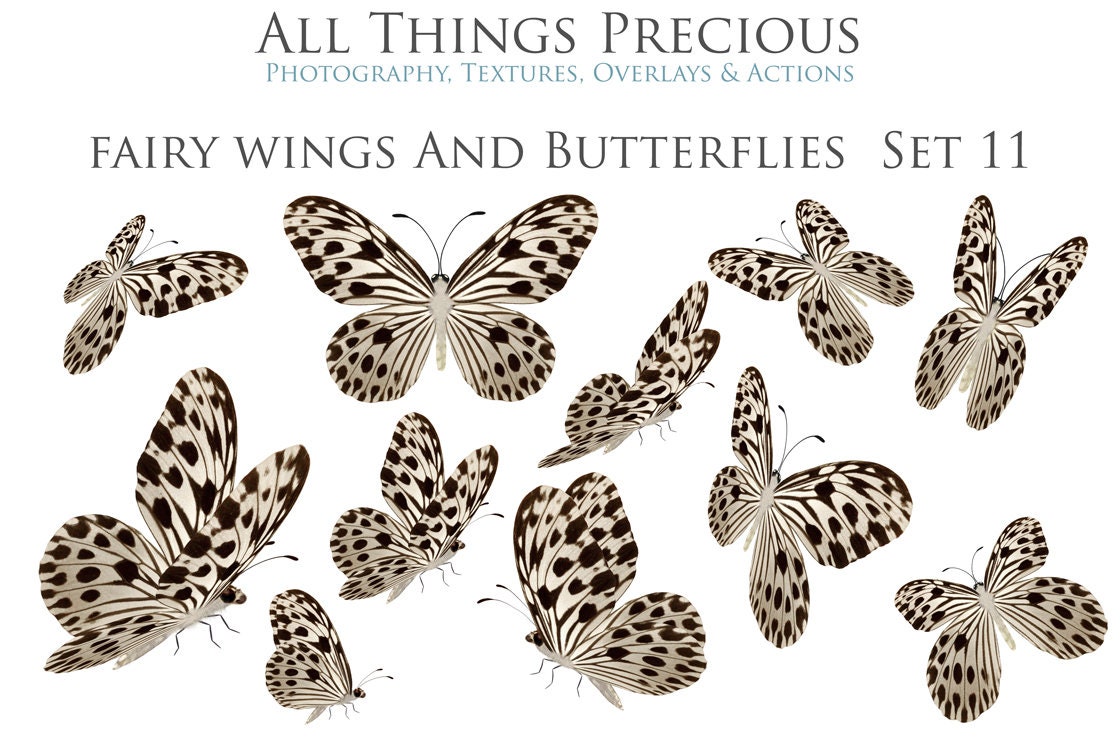 39 BUTTERFLY OVERLAYS Set 3 Digital Overlay Fine Art | Etsy