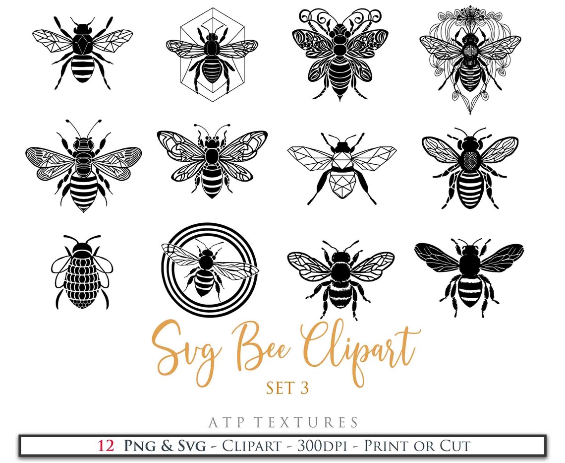 12 SVG BEE CLIPART Set 3 Silhouette Png Clipart Print - Etsy