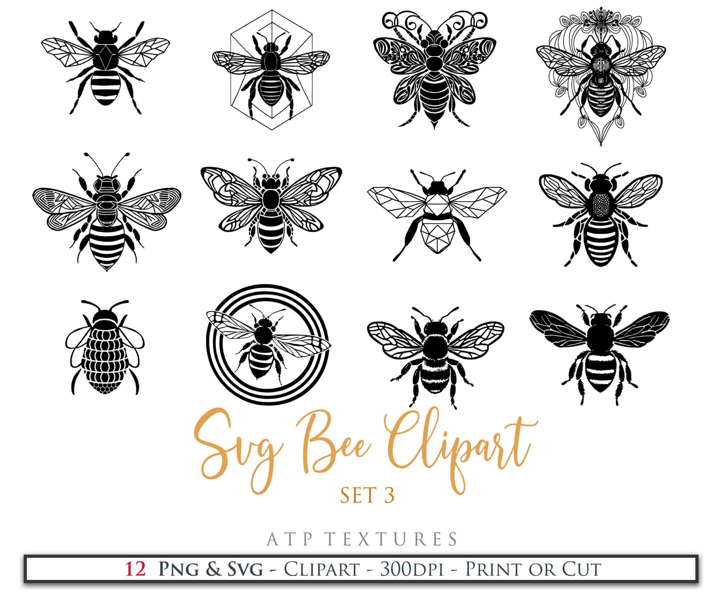 12 SVG BEE CLIPART Set 3 Silhouette Png Clipart Print - Etsy Australia