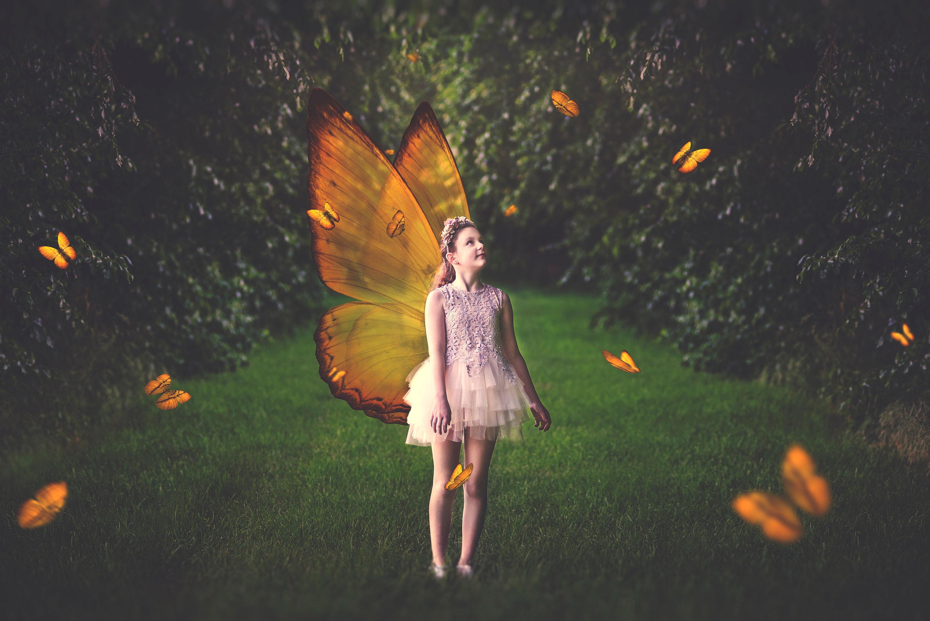 39 BUTTERFLY OVERLAYS Set 3 Digital Overlay Fine Art | Etsy