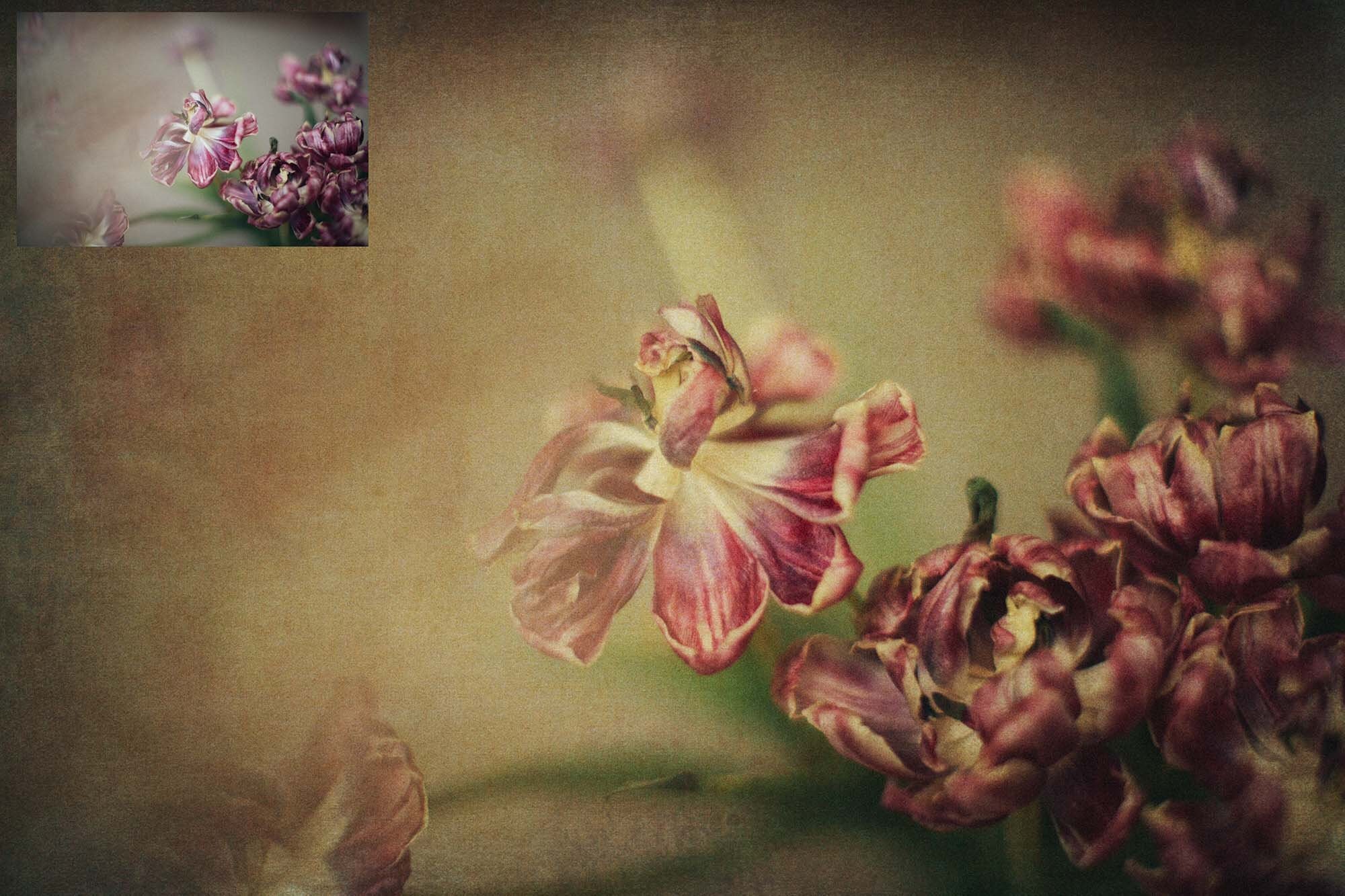 10 TEXTURES WARM Overlays Set 8 / Fine Art Photography - Etsy