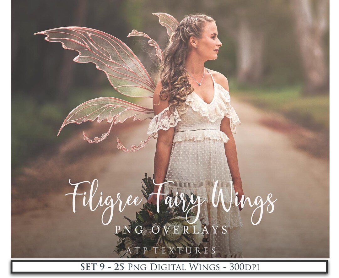 25 Png Overlays FILIGREE FAERY WINGS Set 9 / Photo Overlay - Etsy