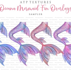 Png OVERLAYS - OCEANA FIN, Mermaid Tail, Digital Clipart, Photo Overlay ...
