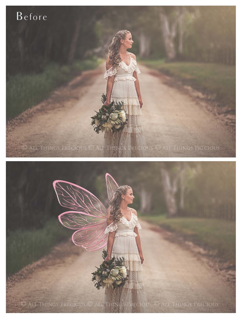 25 Png Overlays FILIGREE FAERY WINGS Set 9 / Photo Overlay - Etsy