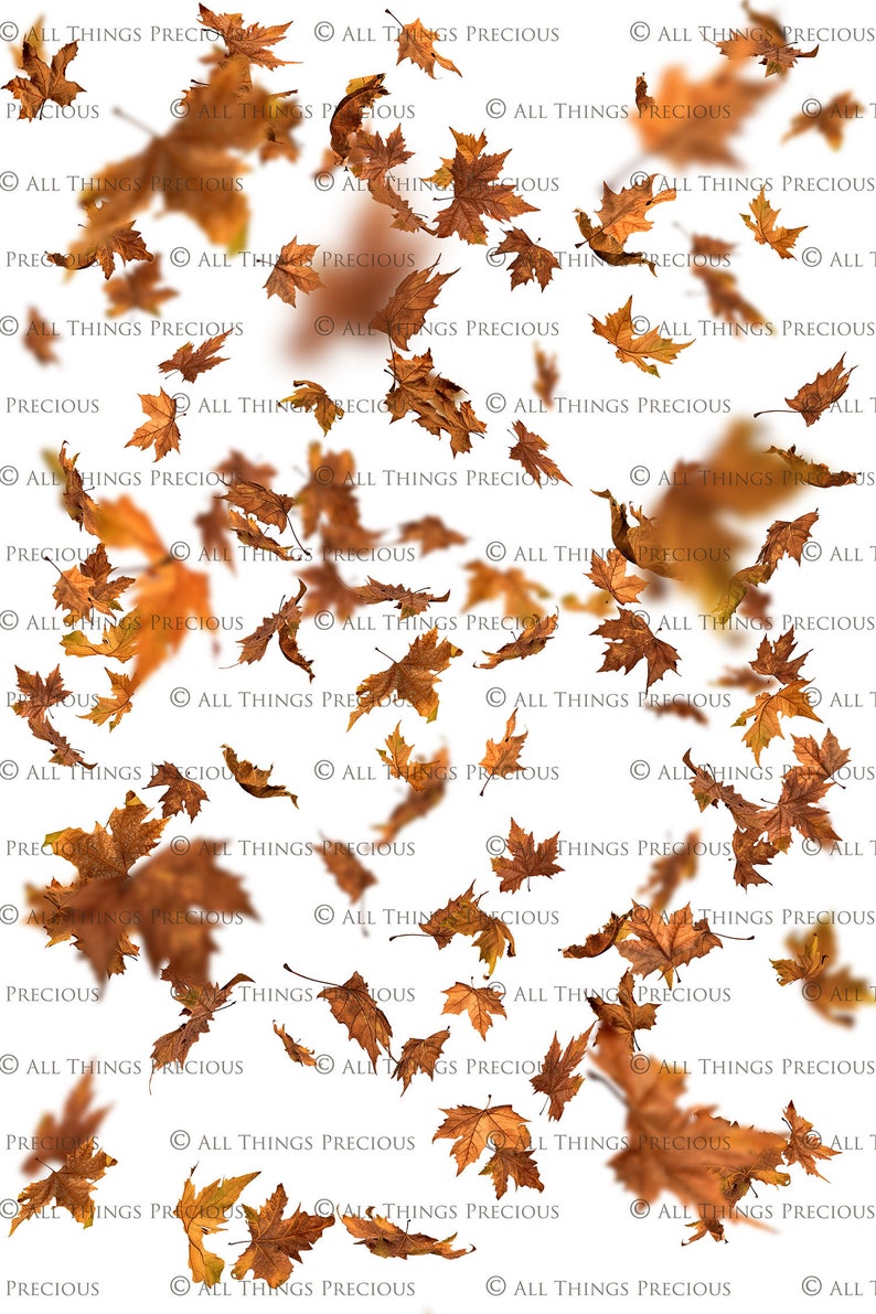 60 FALL LEAVES OVERLAYS Autumn Png Leaf Overlay / | Etsy