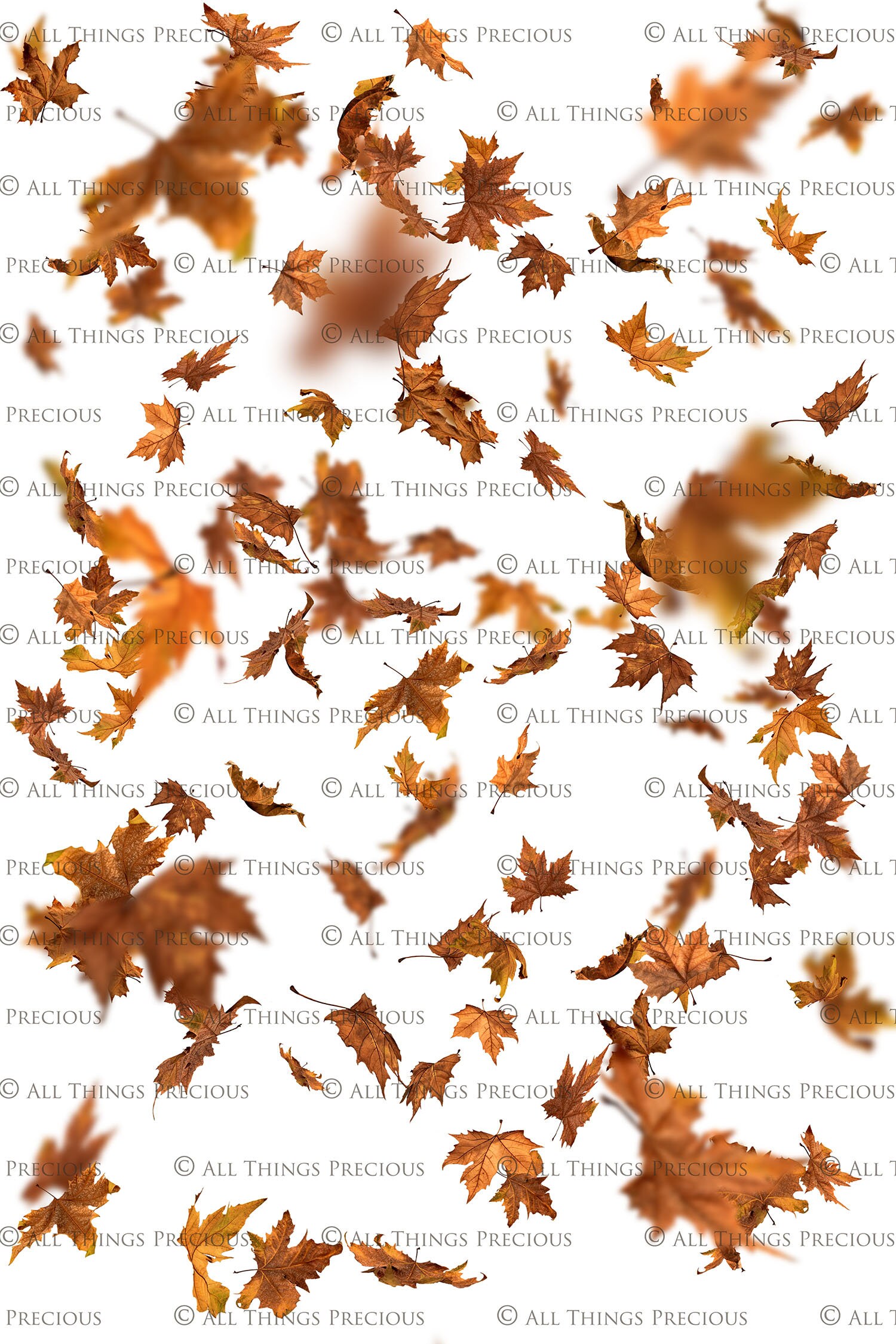 60 FALL LEAVES OVERLAYS Autumn Png Leaf Overlay / | Etsy
