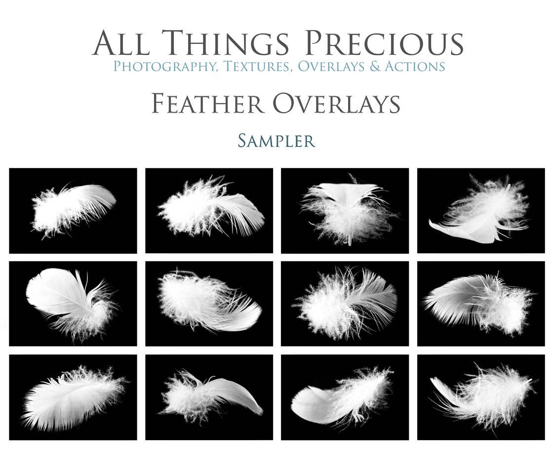 30 PNG OVERLAYS, Feather Overlay, Photography, Photoshop, Fine Art ...