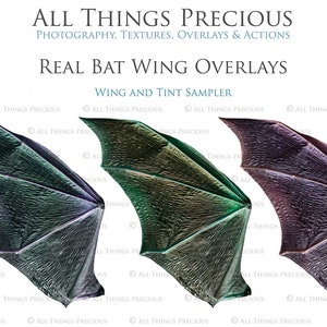 PNG OVERLAYS 6 Bat WINGS / Halloween Wings, Png, High Resolution ...