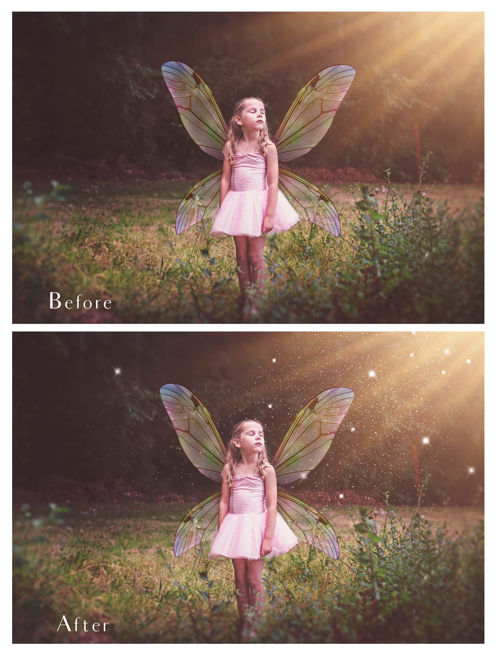 50 Photoshop Brushes, Fairy Sparkle, Dust, Star, Bokeh, Photo Editing ...