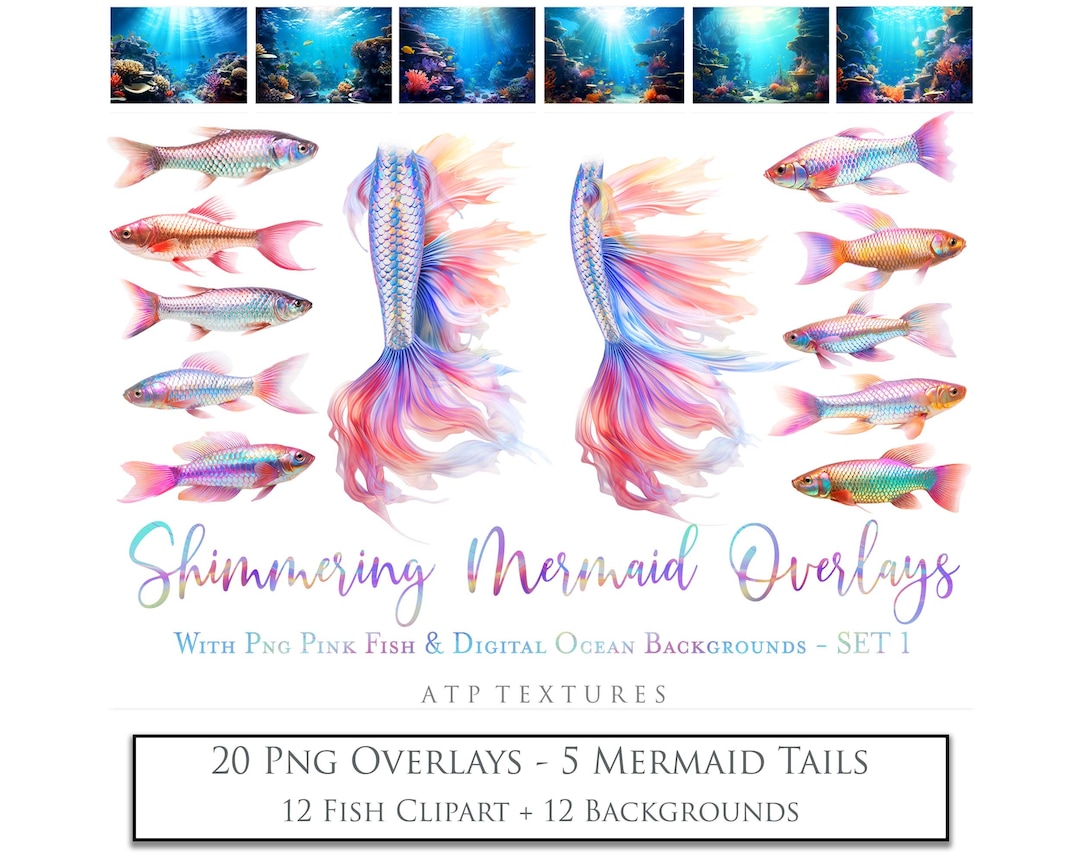 Png OVERLAYS - Shimmering Mermaid Tail, SET 1 Digital Clipart, Photo ...