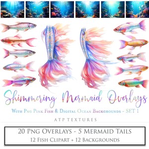 Png OVERLAYS Shimmering Mermaid Tail, SET 1 Digital Clipart, Photo ...
