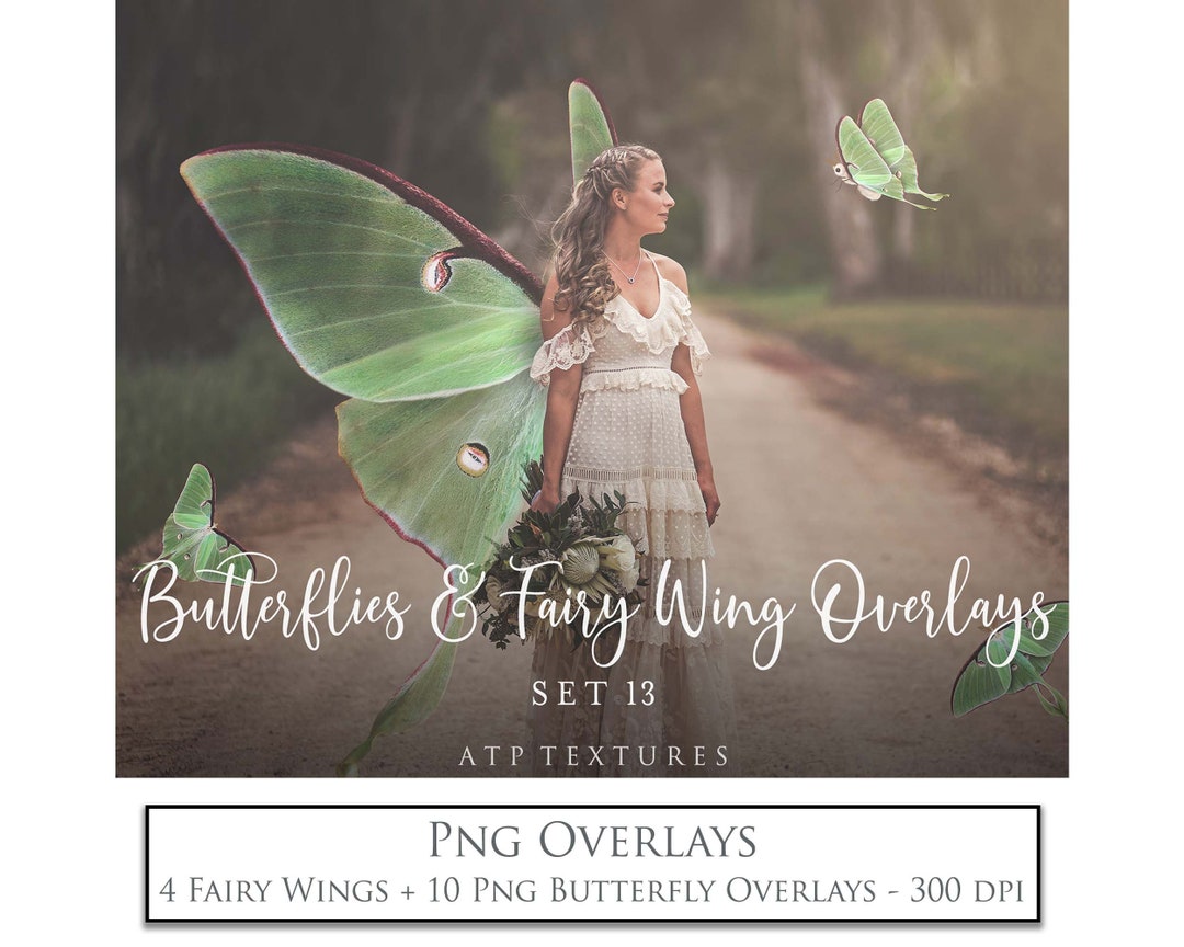 OVERLAYS Png FAIRY WINGS and Butterflies Set 13 / Digital Photography ...