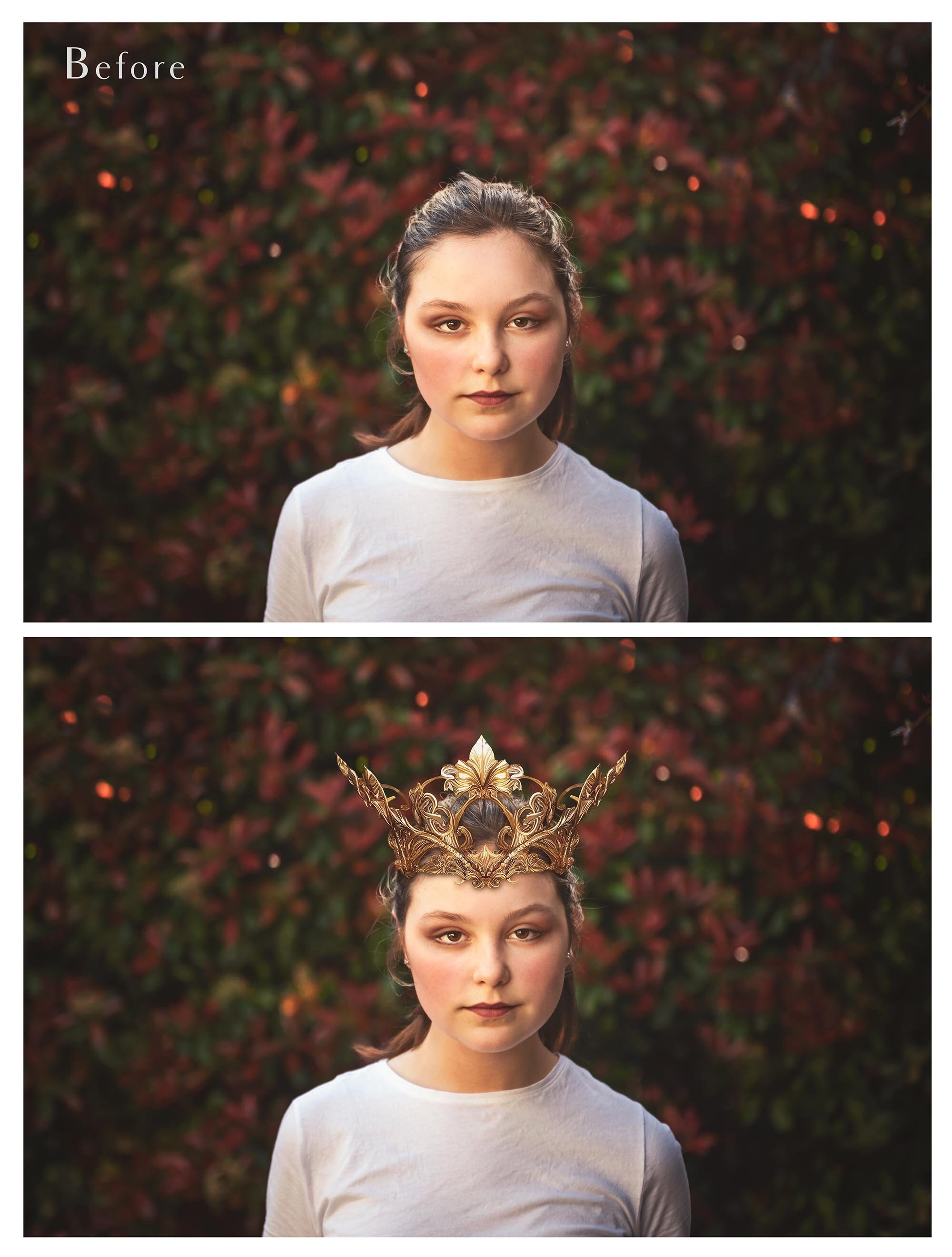 10 PNG OVERLAYS Faery Crown Set 2 / Photo Overlay AI - Etsy